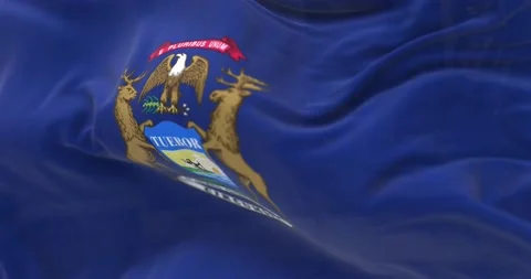 Detail of Michigan state flag waving | Stock Video | Pond5