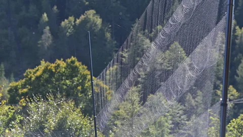 Detail of mist-net to catch and ring mig... | Stock Video | Pond5