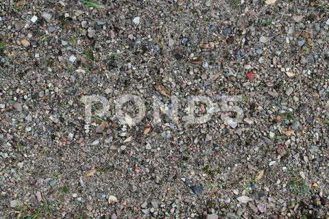 Photograph: Detailed close up view on pebbles and stones on a gravel ...