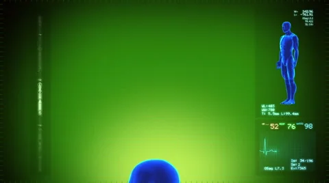 Human Body Graph Stock Footage ~ Royalty Free Stock Videos | Pond5