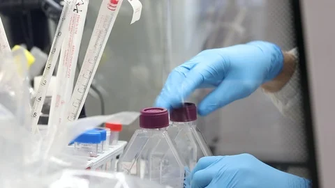 H2512 Details Stock Videos – Royalty-Free HD & 4K Videos