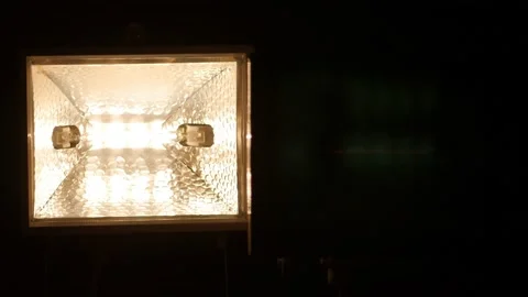 Action Photo Of Stock Videos – Royalty-Free HD & 4K Videos