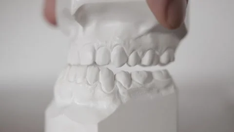 Bite Model Stock Footage ~ Royalty Free Stock Videos | Pond5