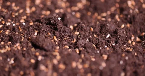 Addition The Stock Videos – Royalty-Free HD & 4K Videos | Pond5