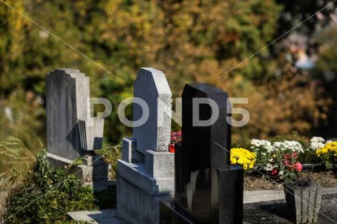 Photograph: Details with tombs, tombstones and vegetation from the old saxon cemetery in #168226967
