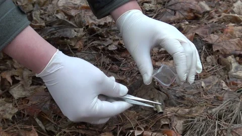 Detective finding bullet evidence at the... | Stock Video | Pond5