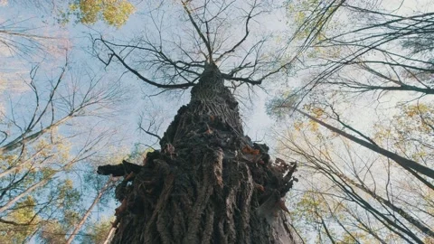 The Detour Seasons Stock Videos – Royalty-Free HD & 4K Videos | Pond5