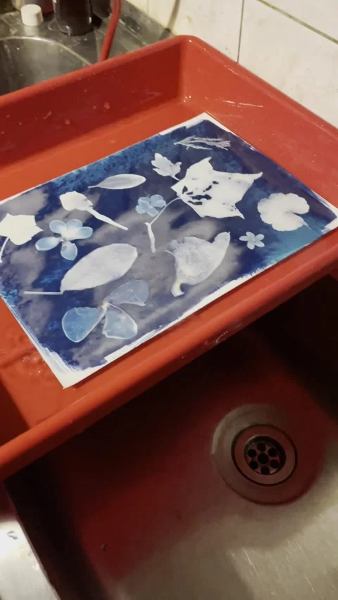 Cyanotype Photos Stock Videos – Royalty-Free HD & 4K Videos | Pond5