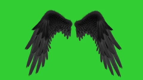 Devil wings flopping on green screen bac... | Stock Video | Pond5