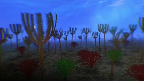 Underwater Scene Stock Videos – Royalty-Free HD & 4K Videos