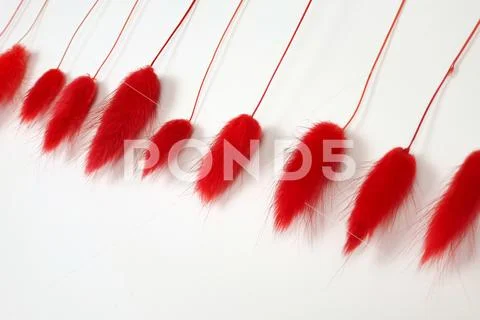 Diagonal flower border frame of red herbs Lagurus on ivory background ...