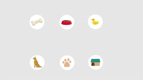 a diagram of a dog's life cycle food con... | Stock Video | Pond5