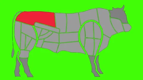Diagrams Of Cow Body Anatomy for Cuisine... | Stock Video | Pond5
