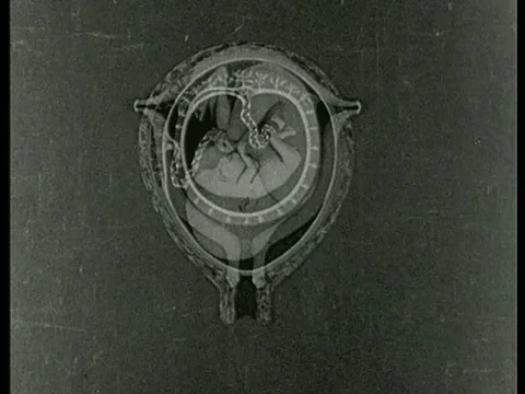 Diagrams show different stages of human ... | Stock Video | Pond5