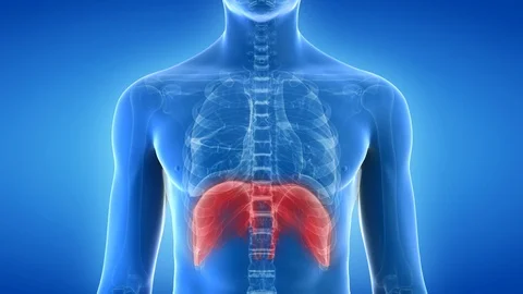 Diaphragm Stock Footage ~ Royalty Free Stock Videos | Pond5
