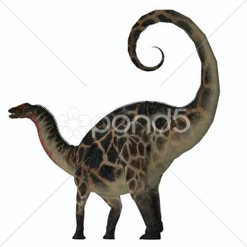Dicraeosaurus Dinosaur Tail Stock Illustration ~ #58229336