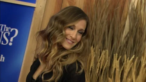 14 Did Stock Videos – Royalty-Free HD & 4K Videos