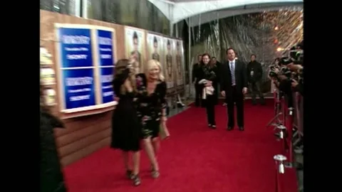 14 Did Stock Videos – Royalty-Free HD & 4K Videos