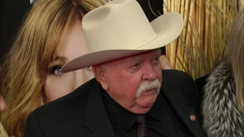 14 Did Stock Videos – Royalty-Free HD & 4K Videos