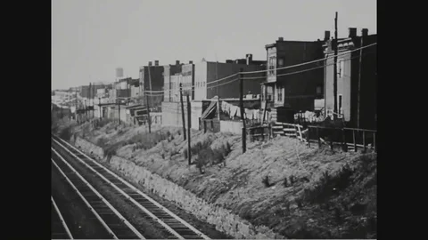 Difference Between This Stock Videos – Royalty-Free HD & 4K Videos