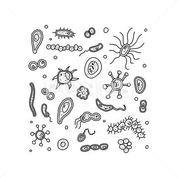 Different bacterias cells coloring page. Microorganism collection ...