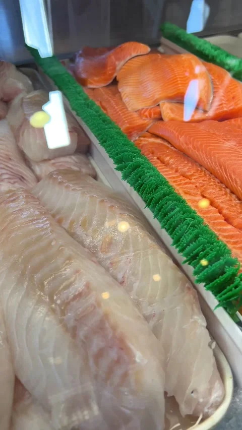 Different fish lies on the window very b... | Stock Video | Pond5