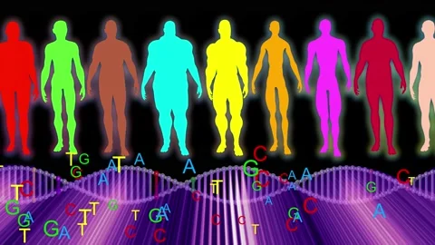 Different male body types , rotating DNA... | Stock Video | Pond5