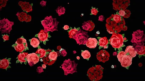 Different Red Rose Flowers Falling Down ... | Stock Video | Pond5