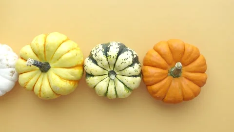 Different types of mini pumpkins color b... | Stock Video | Pond5