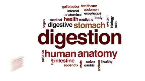 Digestion animated word cloud, text desi... | Stock Video | Pond5