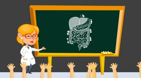 Digestion - Chalkboard - Cartoon 02 | Stock Video | Pond5