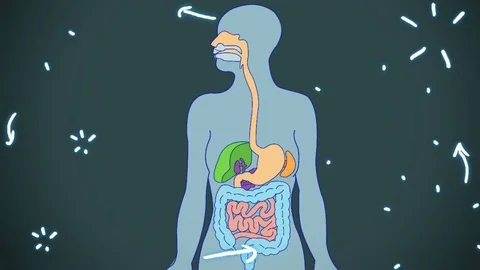 Digestive System dark blue color - hand-... | Stock Video | Pond5