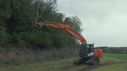 Digger with tree shears carries cut tree... | Stock Video | Pond5