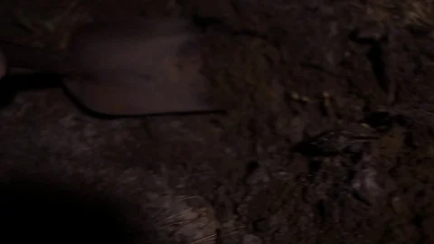 Digging A Hole Stock Footage ~ Royalty Free Stock Videos | Pond5