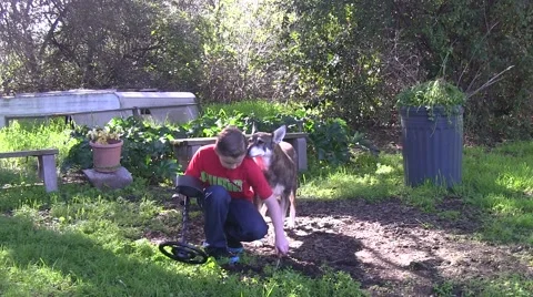 Digging Treasure Stock Videos – Royalty-Free HD & 4K Videos