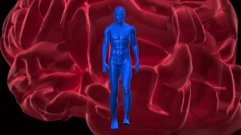 Body Signals Stock Videos – Royalty-Free HD & 4K Videos