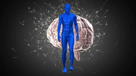 Digital animation of human body model wa... | Stock Video | Pond5