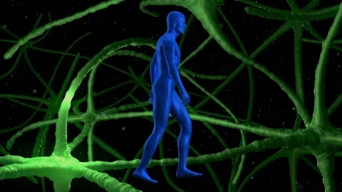 Body Signals Stock Videos – Royalty-Free HD & 4K Videos