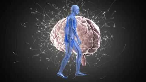 Digital animation of human body model wa... | Stock Video | Pond5