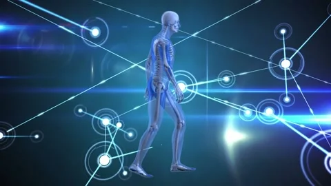 Human Body Walking Stock Footage ~ Royalty Free Stock Videos | Pond5