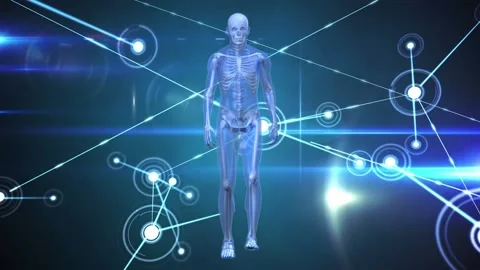 Digital animation of human body model wa... | Stock Video | Pond5