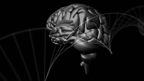 Digital animation of human brain and dna... | Stock Video | Pond5