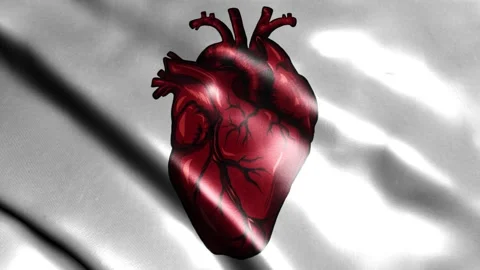 digital animation of Human heart. | Stock Video | Pond5