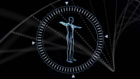 Digital animation of human model spinnin... | Stock Video | Pond5