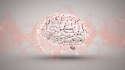 Animation Brain Waves Stock Video Footage | Royalty Free Animation ...