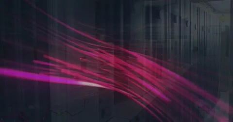 Red Carpet Silhouette Stock Videos – Royalty-Free HD & 4K Videos