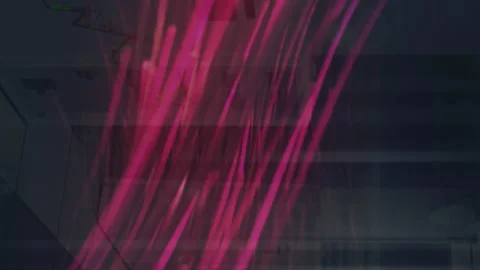 Red Carpet Silhouette Stock Videos – Royalty-Free HD & 4K Videos