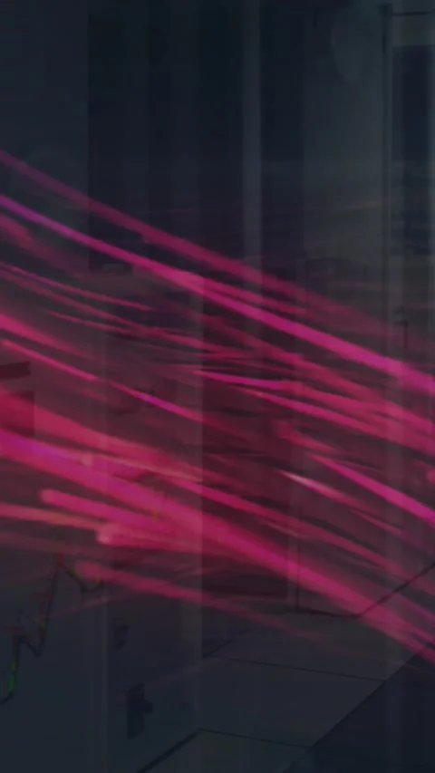 Red Carpet Silhouette Stock Videos – Royalty-Free HD & 4K Videos