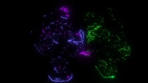 Tiger Tigital Videos Stock Videos – Royalty-Free HD & 4K Videos