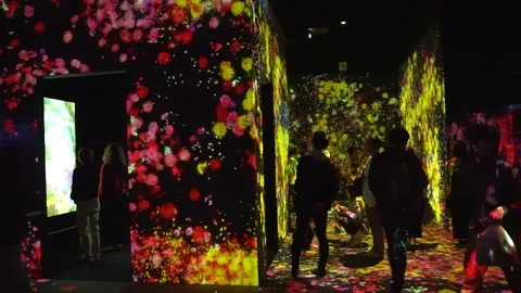 Digital Art Museum team Lab Tokyo, Japan... | Stock Video | Pond5
